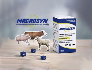 Bimeda Ireland - Bimeda Ireland