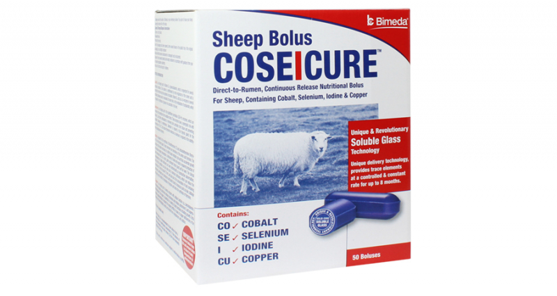 Bimeda Ireland - CoseIcure Sheep